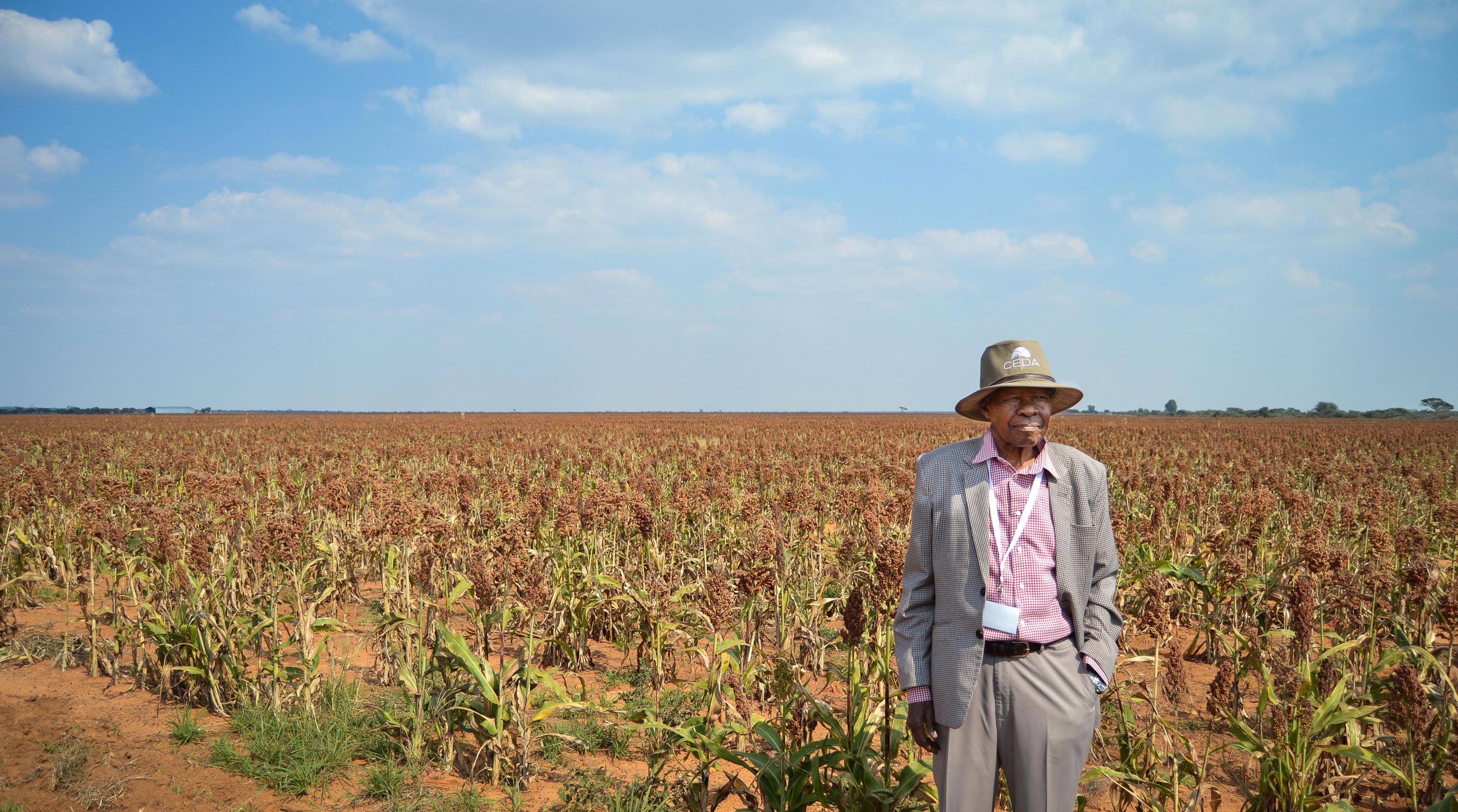 MOSISEDI HARVEST DAY HAILED A SUCCESS | CEDA