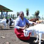 Customer Profiles | CEDA