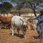 Customer Profiles | CEDA